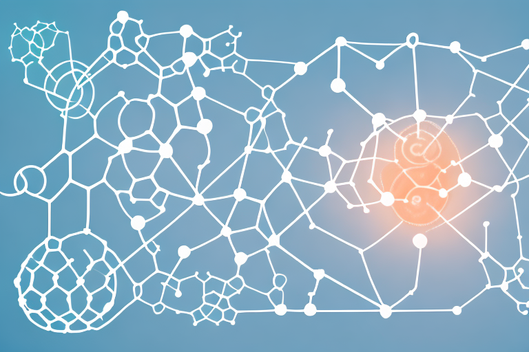 Protein Bioavailability: Protein Explained – Atlas Bar