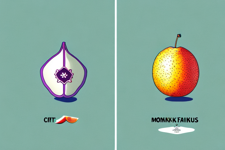 Monk Fruit Sweetener Vs Erythritol Examining The Differences Atlas Bar