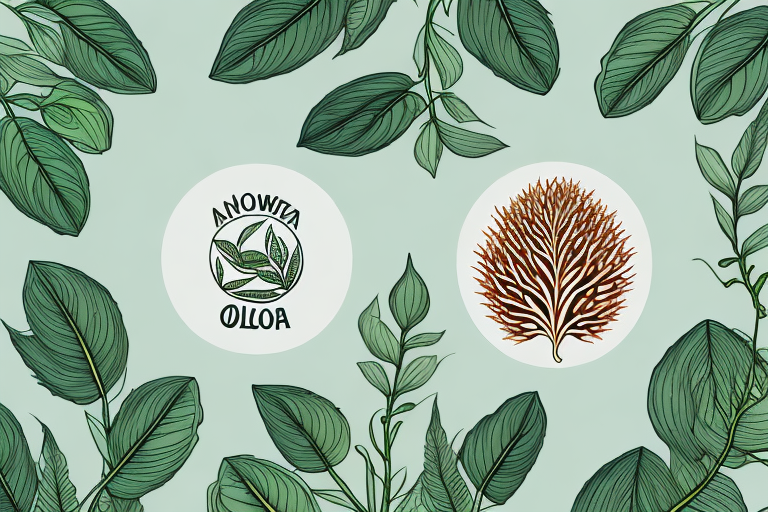 Exploring Ashwagandha Oil: Its Uses and Benefits | Atlas Bar Exploring Ashwagandha Oil: Its Uses and Benefits | Atlas Bar