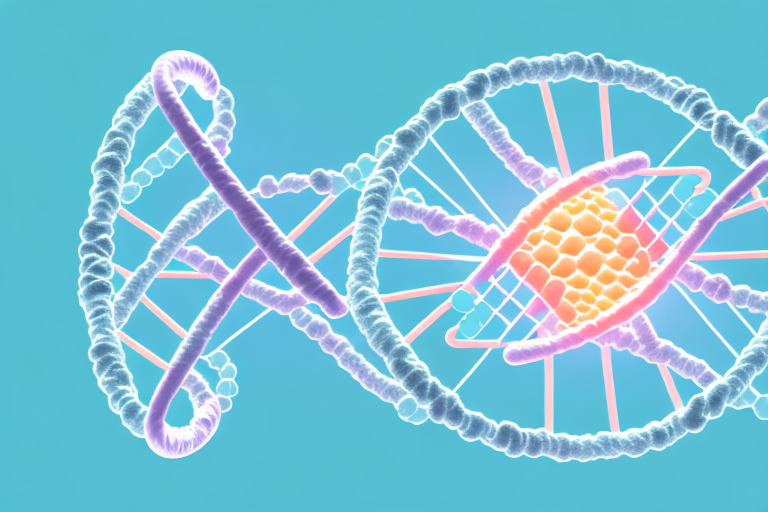 Protein, the Cell, and DNA: Unraveling the Intricate Relationship ...